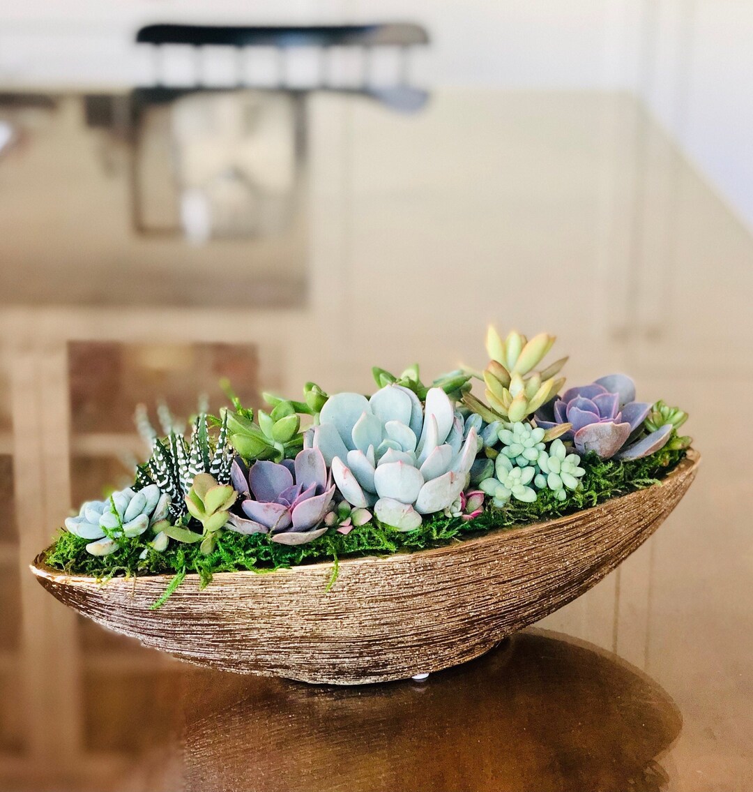 Gold Noahs Ark: 14 Live Succulent Arrangement in Etched Gold Boat ...