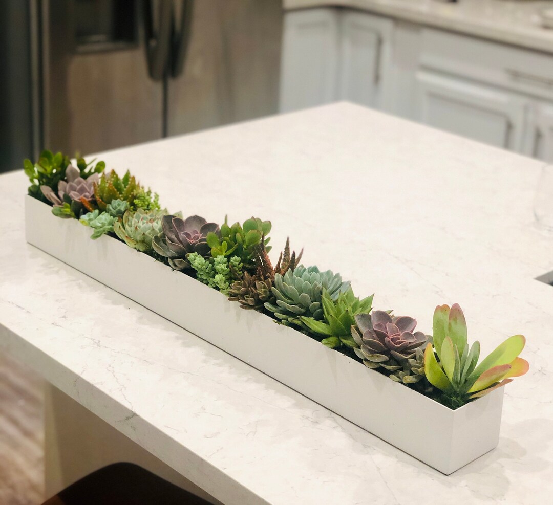 32” Long Succulent Arrangement: Modern Metal Planter Centerpiece - Etsy