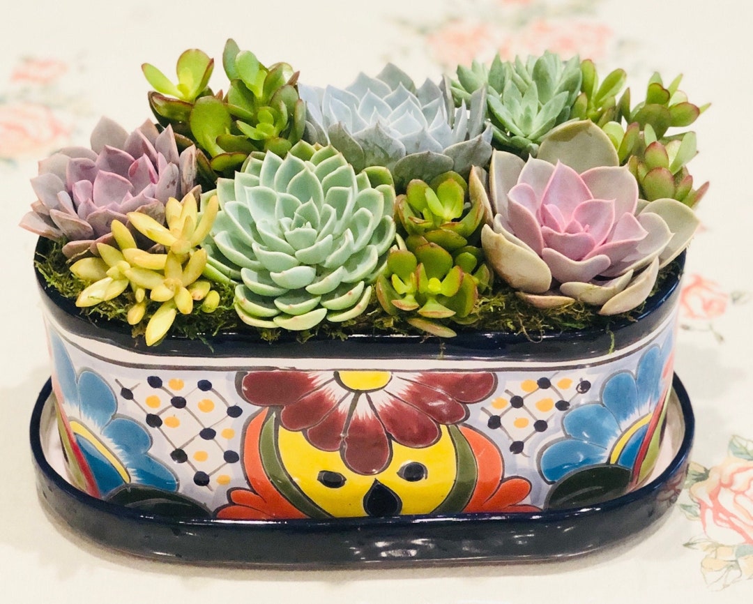 Mexican Oval Talavera Ceramic Planter With Saucer Filled Wit - Etsy