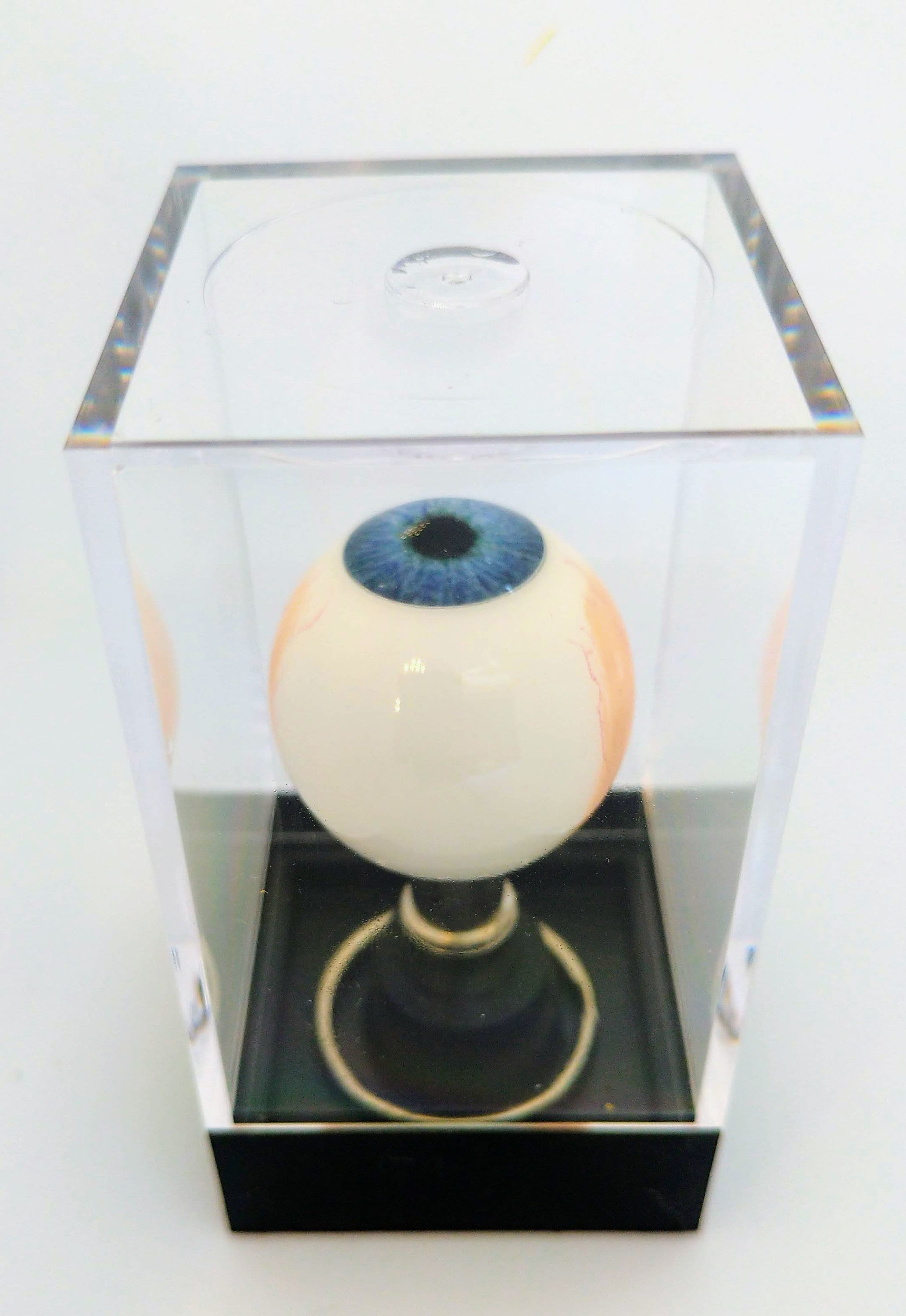 Realistic Handmade in the USA , Human Eye KEYCHAIN With Vessels - Etsy