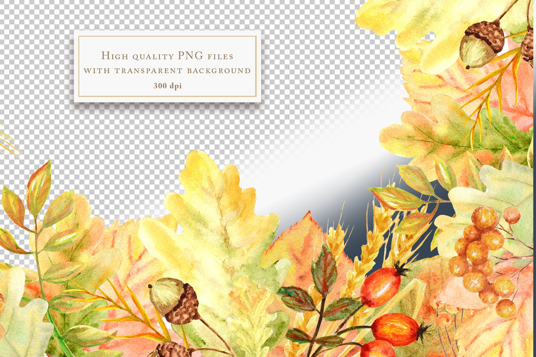 Watercolor Autumn Frame PNG Clipart Fall Leaves Bouquet - Etsy