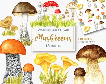 Watercolor Autumn Mushrooms Clipart Fall Time Woodland Forest - Etsy