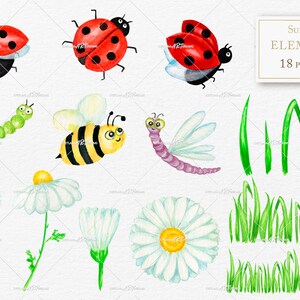 Summer Watercolor Insects, Grass and Chamomile - Ladybug Bee, Summer ...