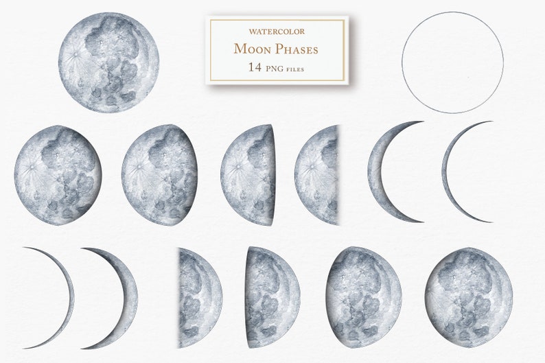 Watercolor Moon Phases Clipart: Lunar Chart PNG (digital Download) #114 ...