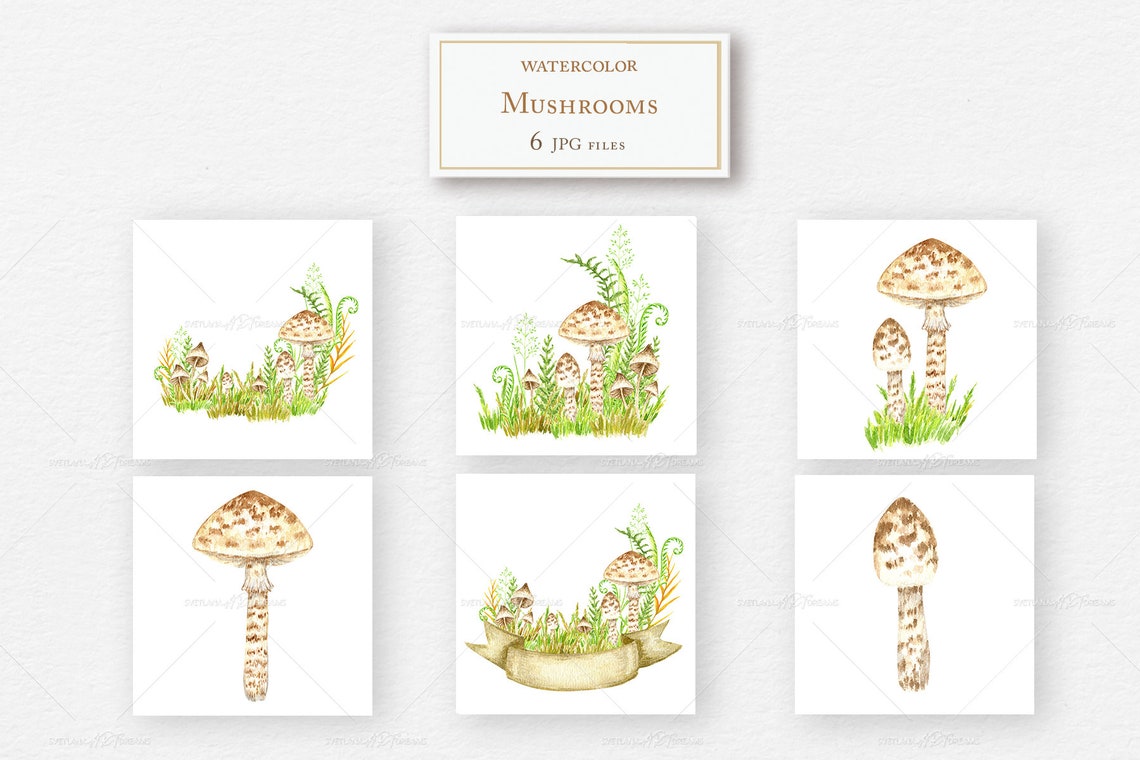Mushrooms Watercolor Clipart, Fall Forest Fungus Autumn Clip Art ...