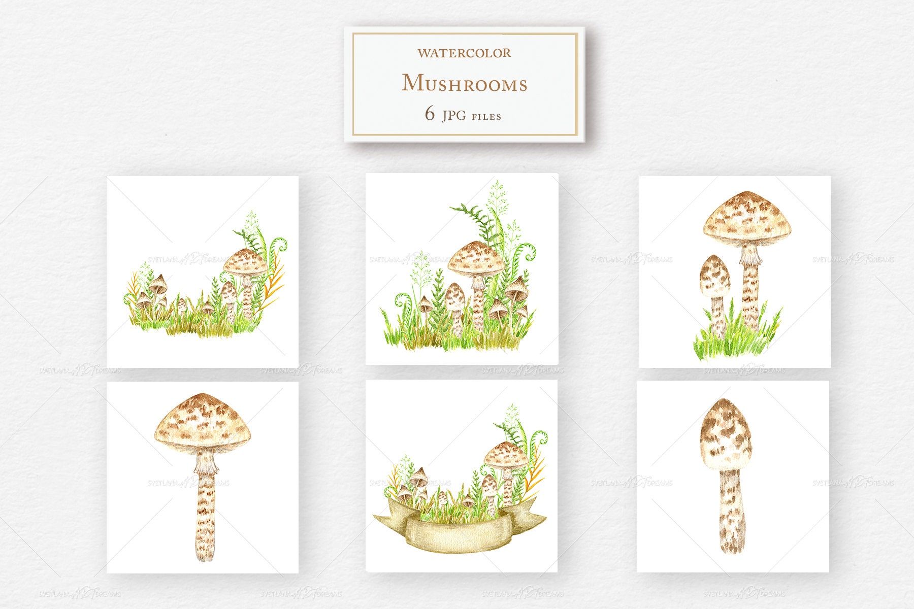 Mushrooms Watercolor Clipart, Fall Forest Fungus Autumn Clip Art ...