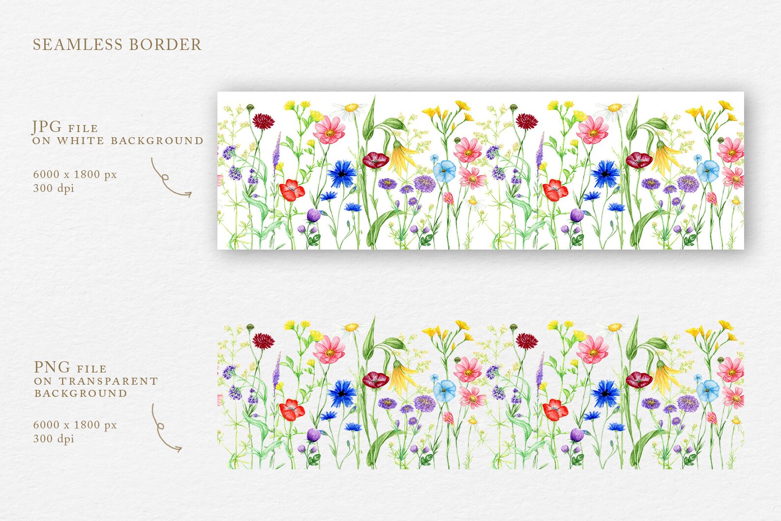 Watercolor Wildflowers Clipart Floral Borders Summer Meadow - Etsy