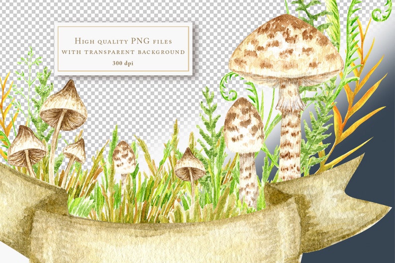 Mushrooms Watercolor Clipart, Fall Forest Fungus Autumn Clip Art ...