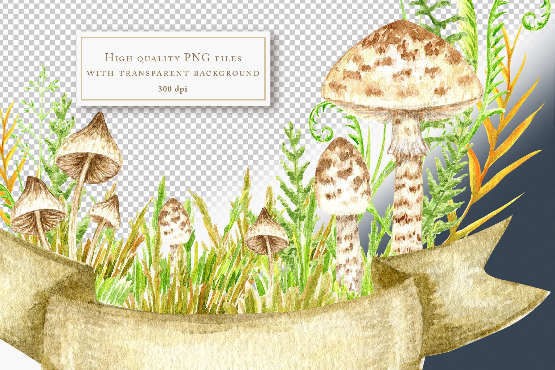 Mushrooms Watercolor Clipart, Fall Forest Fungus Autumn Clip Art ...