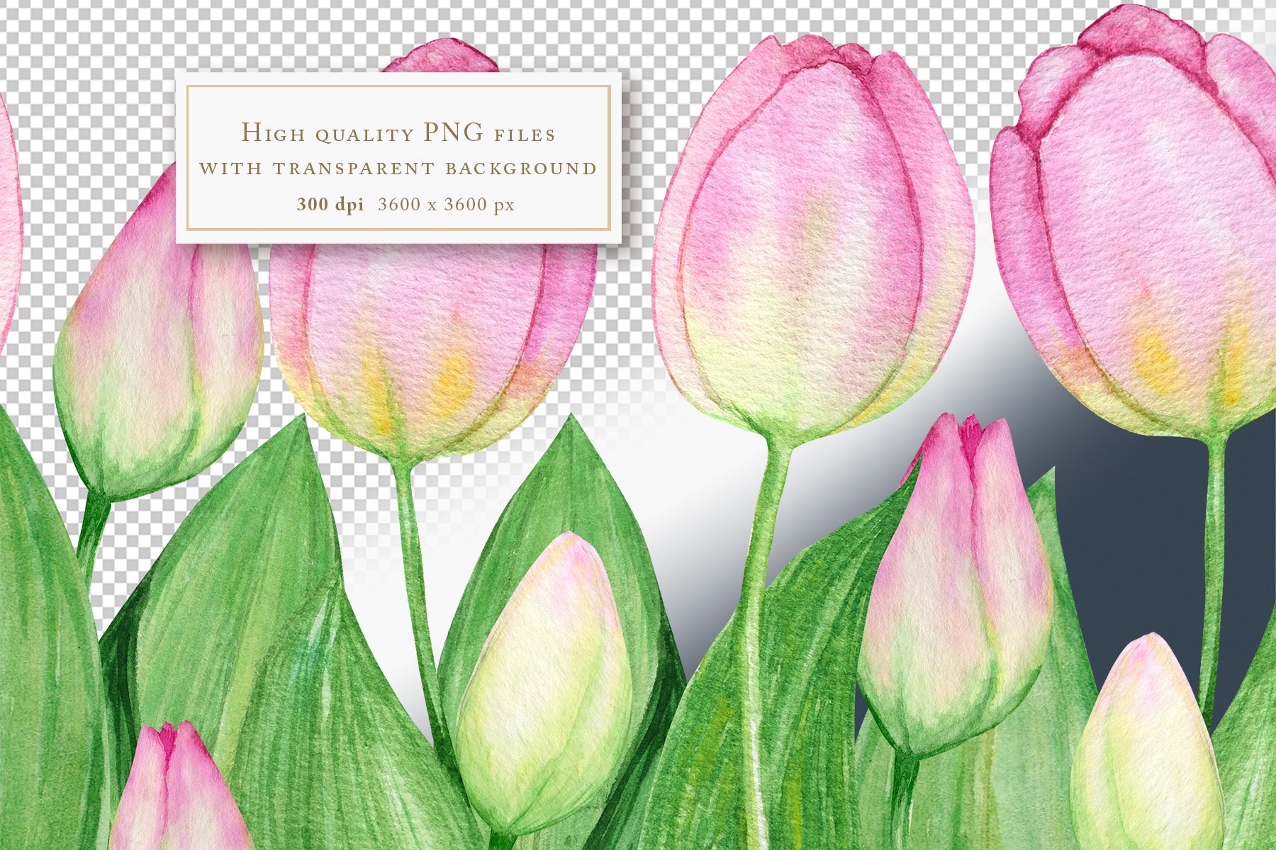 Watercolor Tulip Clipart PNG, Spring Pink Tulips Flowers Clip Art ...