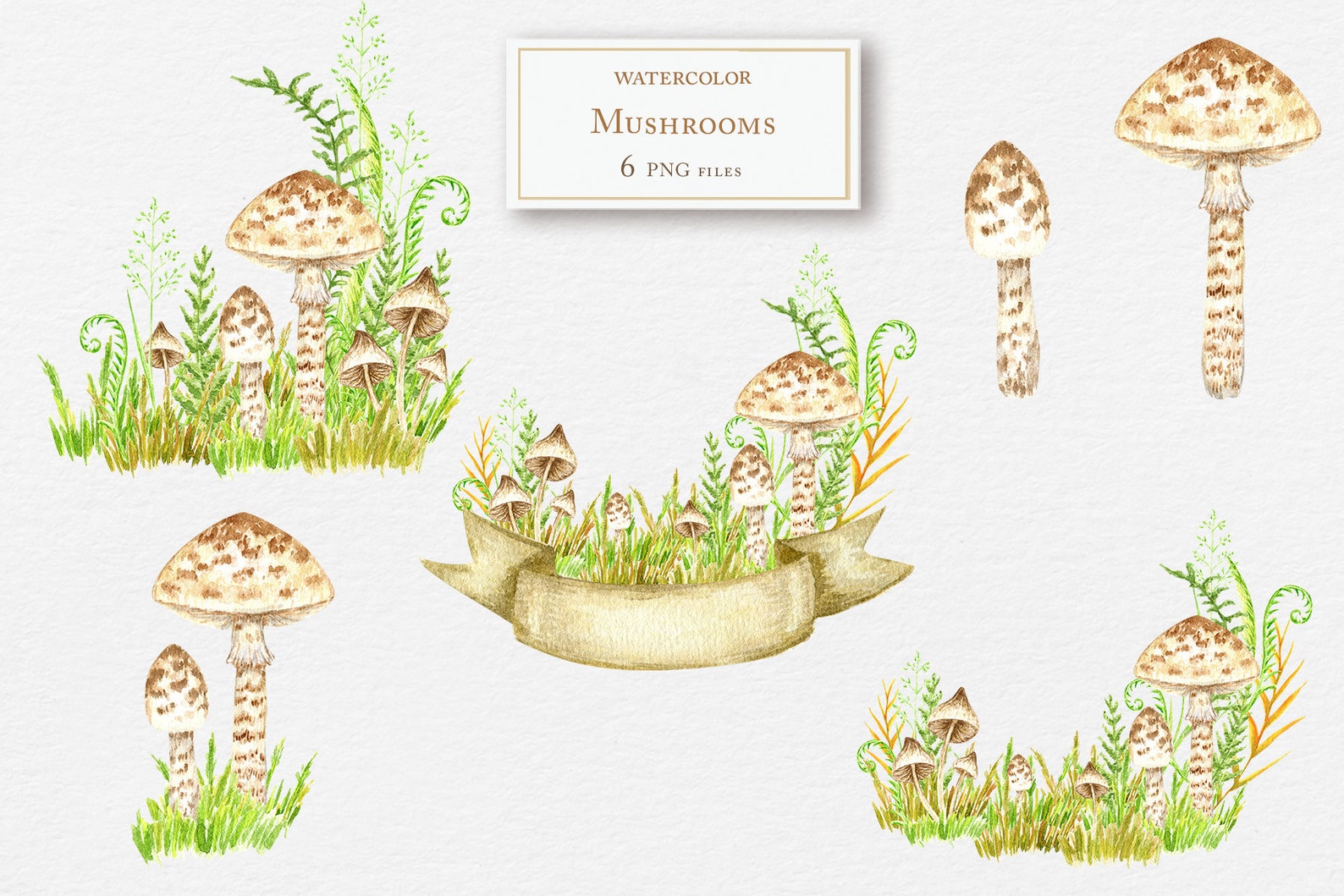 Mushrooms Watercolor Clipart, Fall Forest Fungus Autumn Clip Art ...