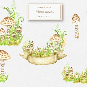Mushrooms Watercolor Clipart, Fall Forest Fungus Autumn Clip Art ...