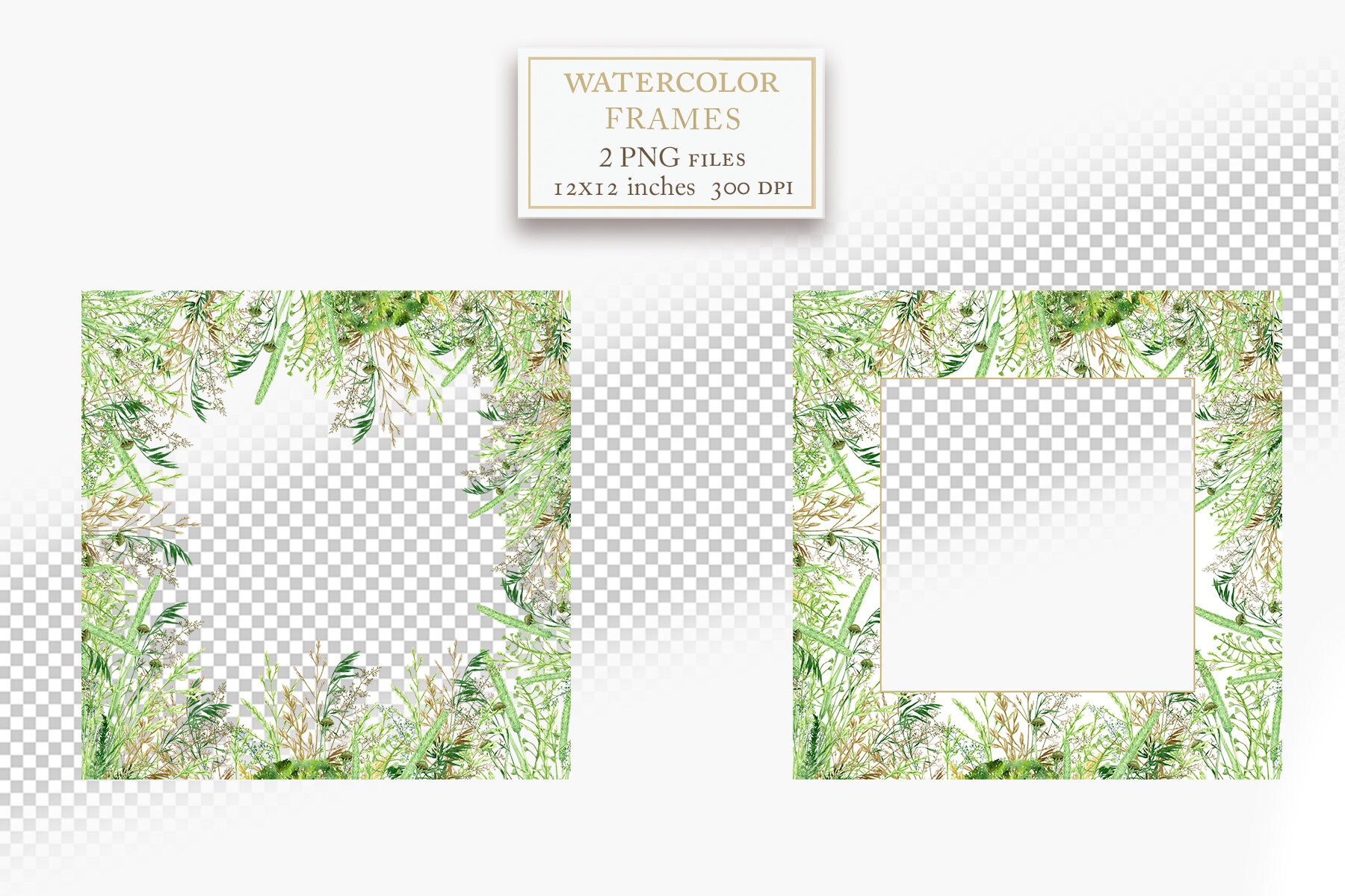 Watercolor Geenery Border PNG, Floral Frame Field Grass, Wild Herbrs ...