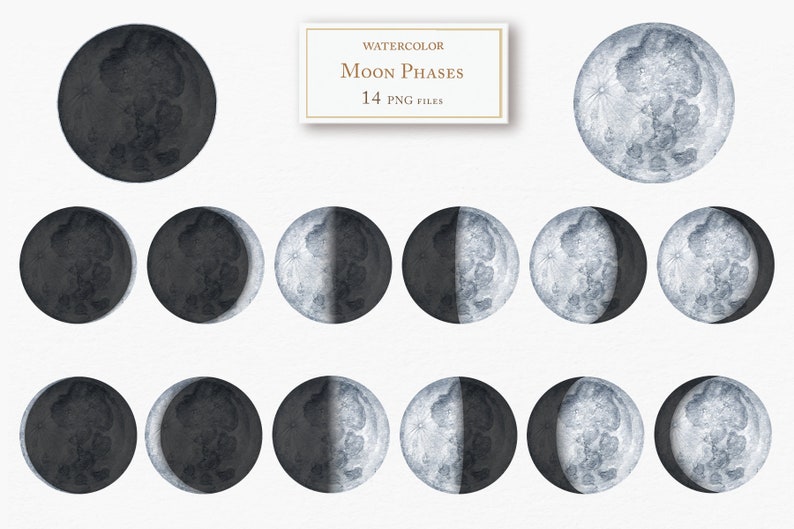 Watercolor Moon Phases Clipart, Lunar Chart Digital Download, Moon ...