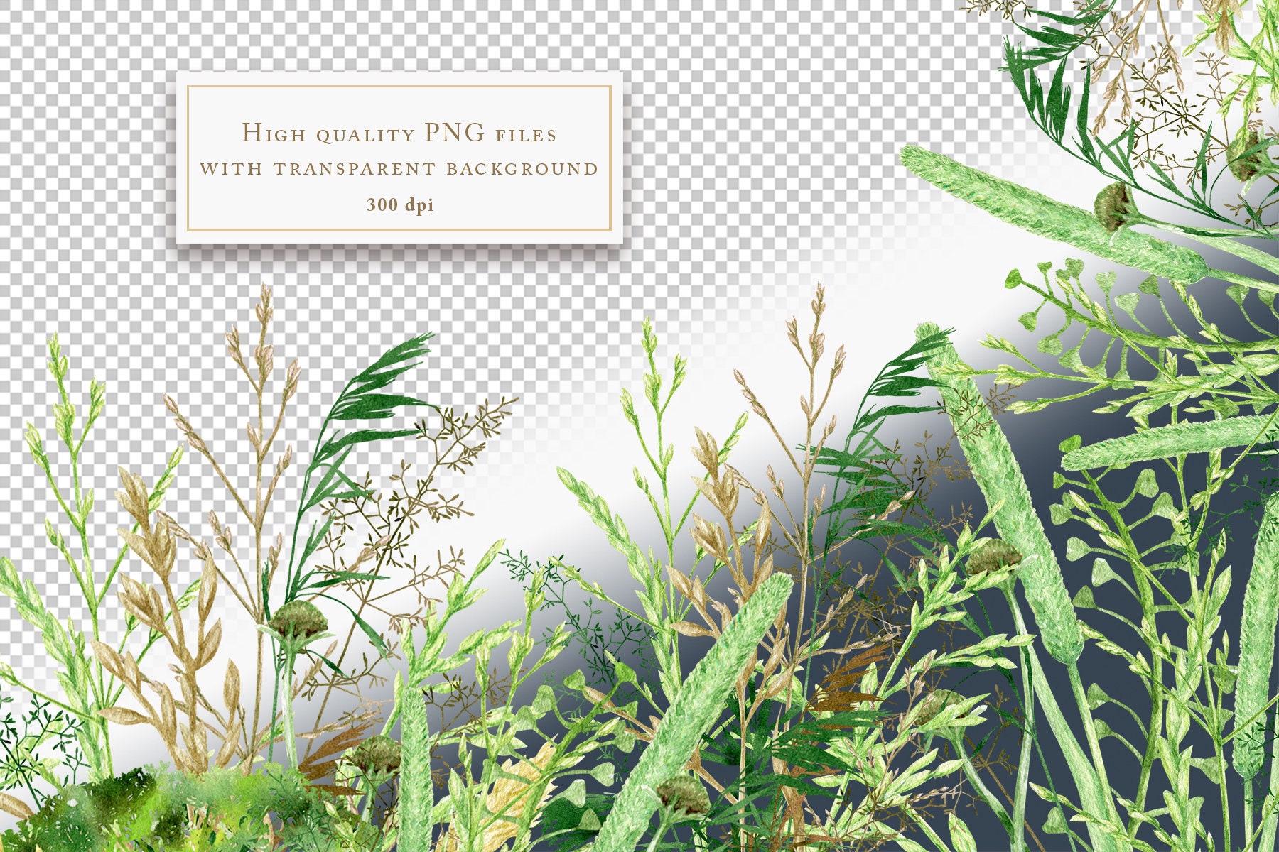 Watercolor Geenery Border PNG, Floral Frame Field Grass, Wild Herbrs ...