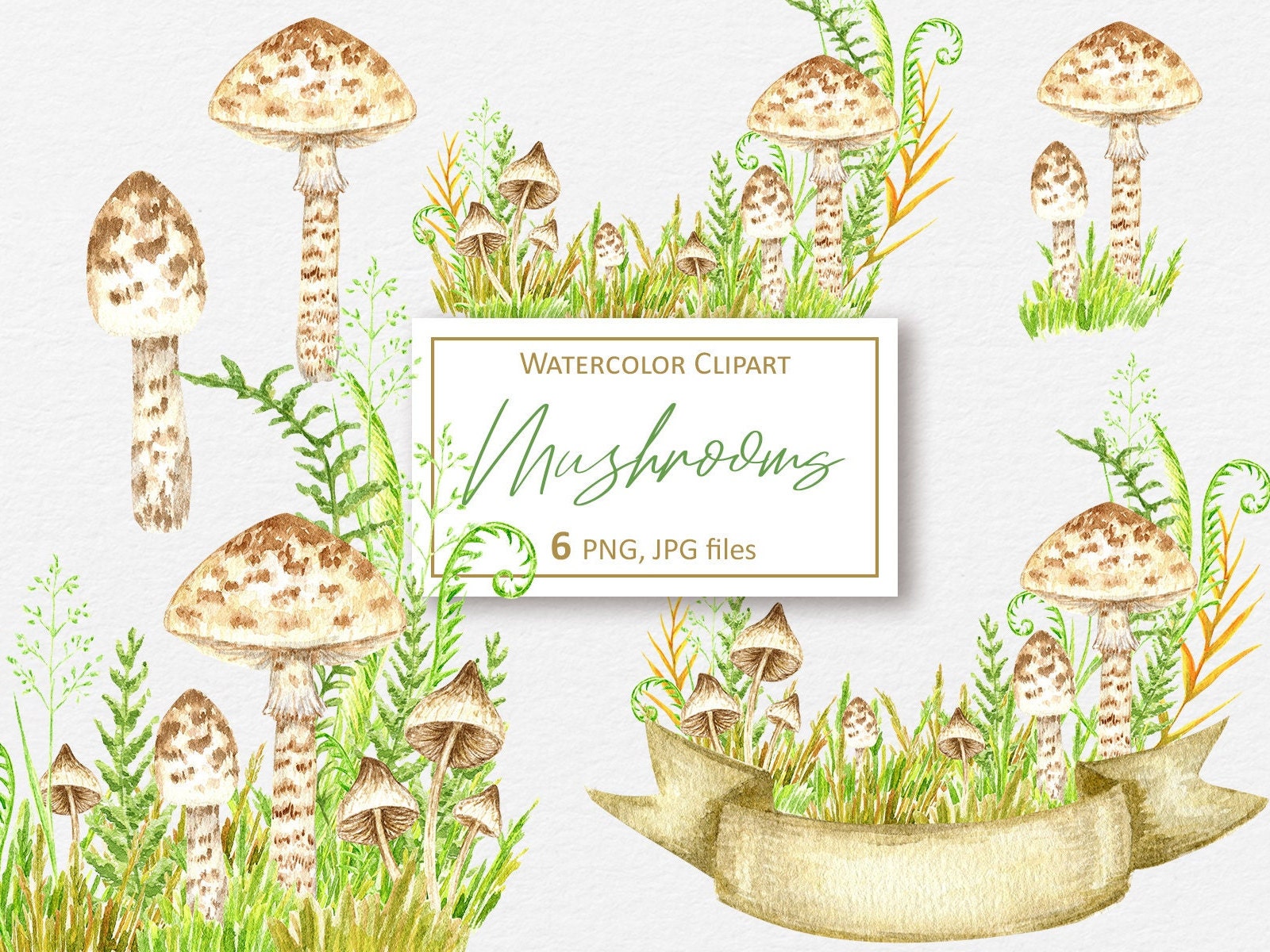 Mushrooms Watercolor Clipart, Fall Forest Fungus Autumn Clip Art ...