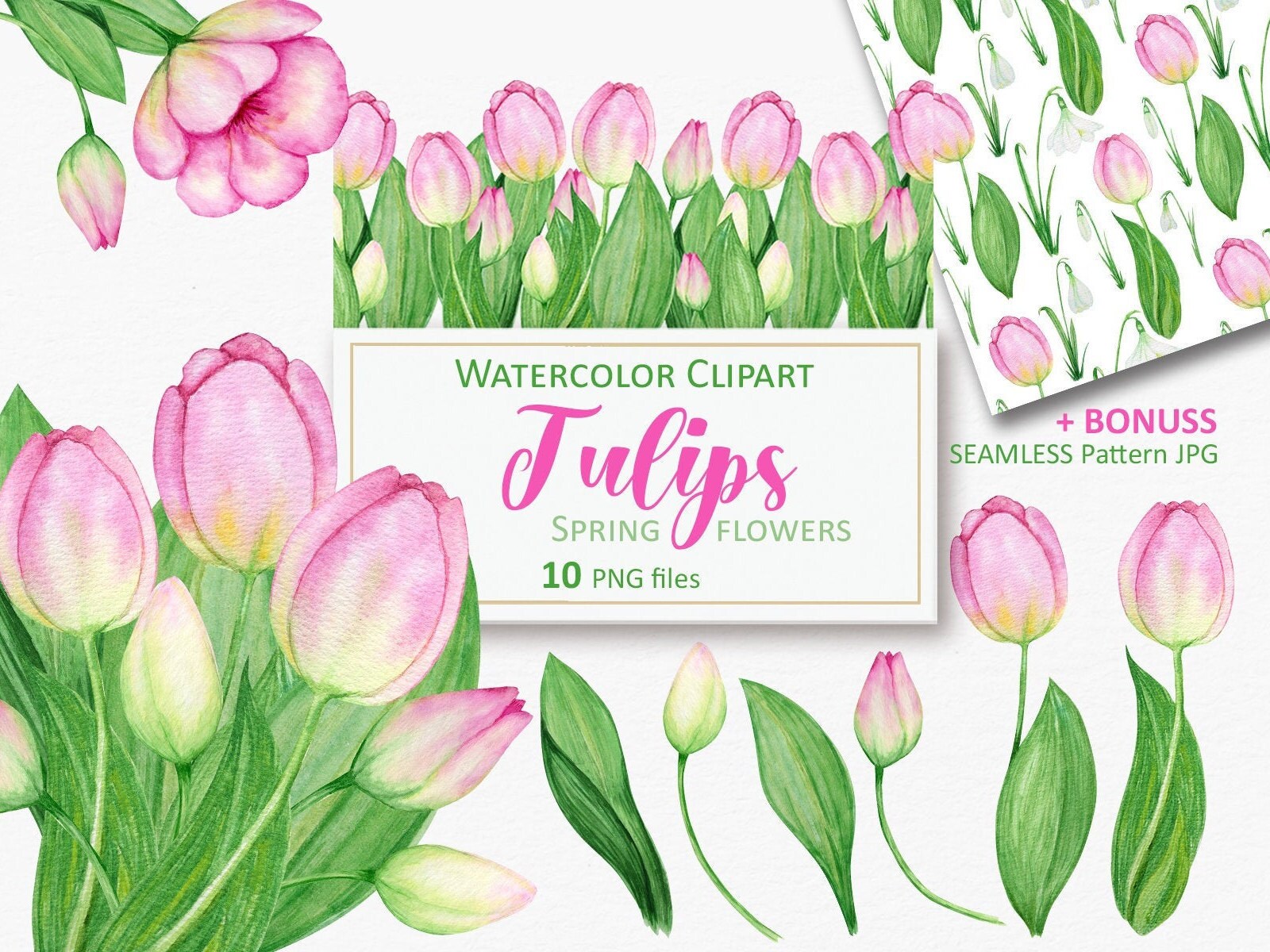 Watercolor Tulip Clipart PNG, Spring Pink Tulips Flowers Clip Art ...