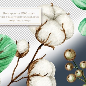 COTTON Flowers Watercolor Clipart, Eco Friendly Cotton Bowl ...