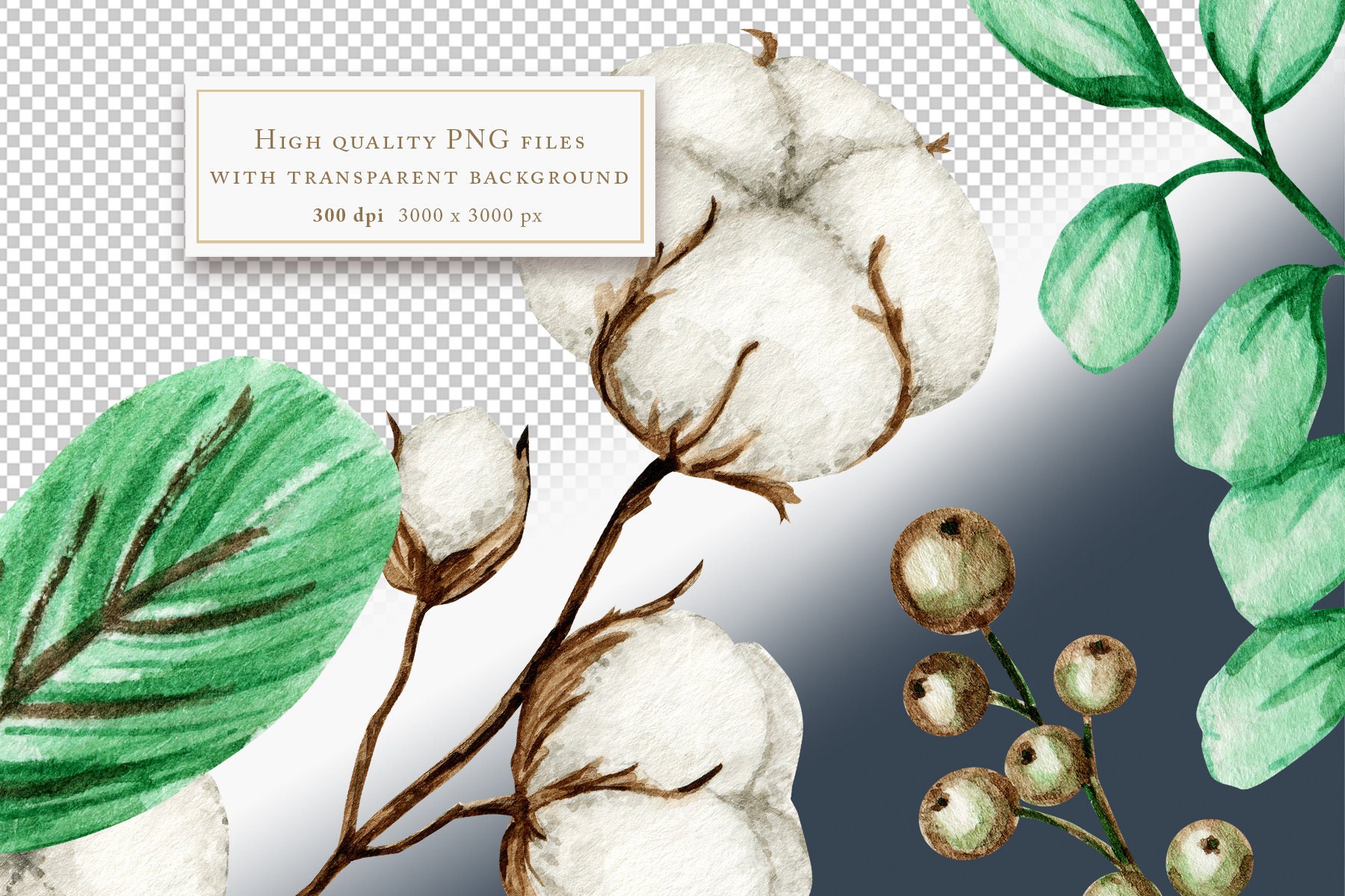 COTTON Flowers Watercolor Clipart, Eco Friendly Cotton Bowl ...