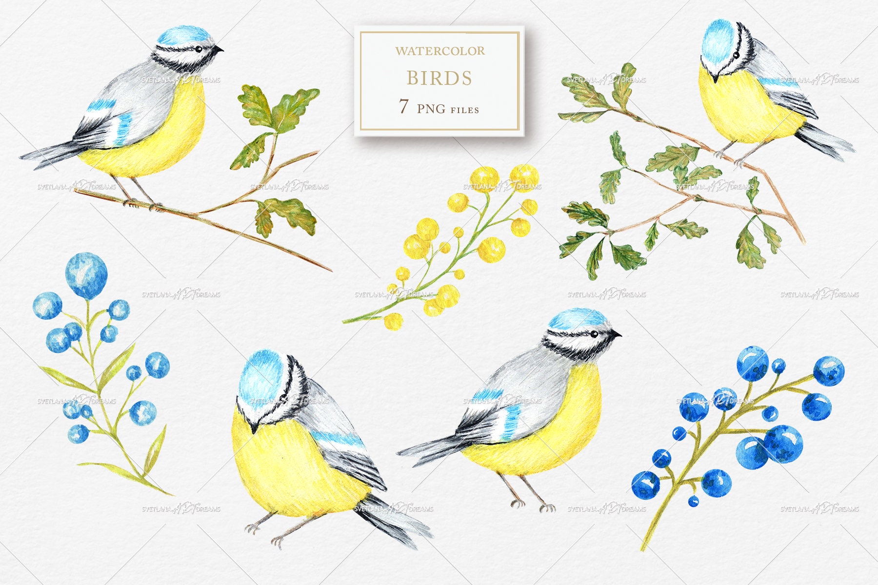 Watercolor Blue Tit Birds Wreath Clipart, Chickadee Bird Fall Frame ...