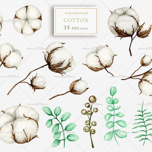 COTTON Flowers Watercolor Clipart, Eco Friendly Cotton Bowl ...