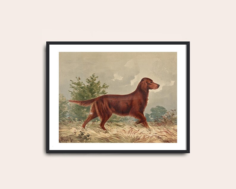 Vintage Irish Setter Printable, Hunting Dog Wall Decor, Sporting Gun ...