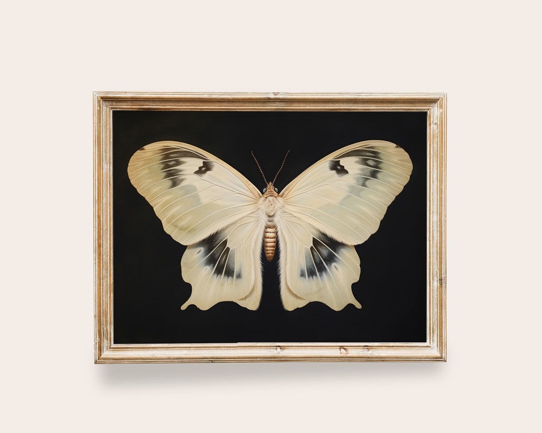 White Moth Victorian Art, Butterfly Art, Vintage PRINTABLE Wall Art ...