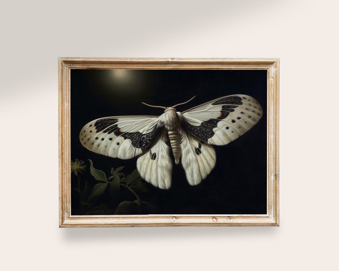 White Moth Victorian Art Butterfly Art Vintage PRINTABLE - Etsy