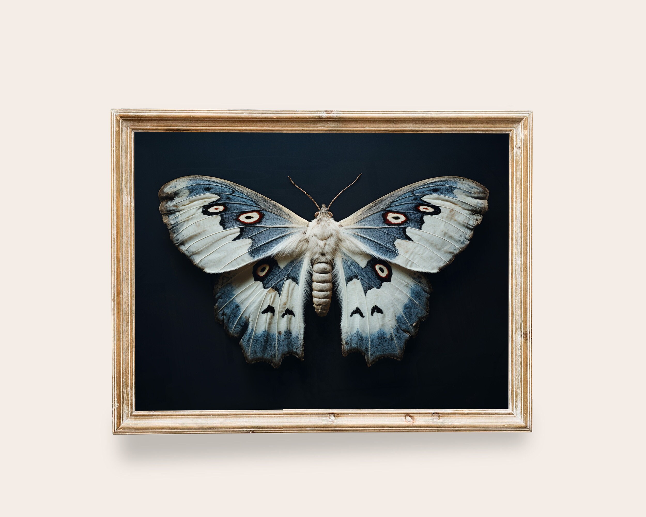 White Moth Victorian Art, Butterfly Art, Vintage PRINTABLE Wall Art ...