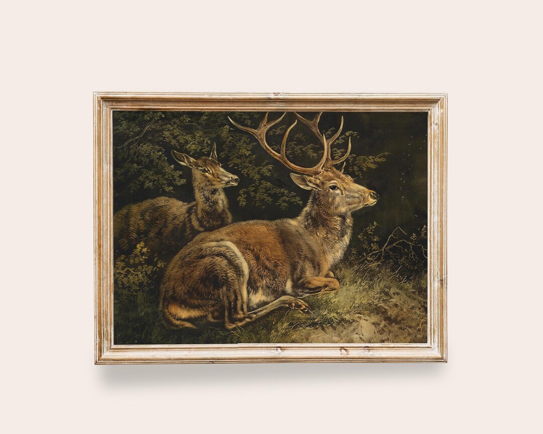 Vintage Deer Stag Printable Art – Antique Wildlife Illustration for ...