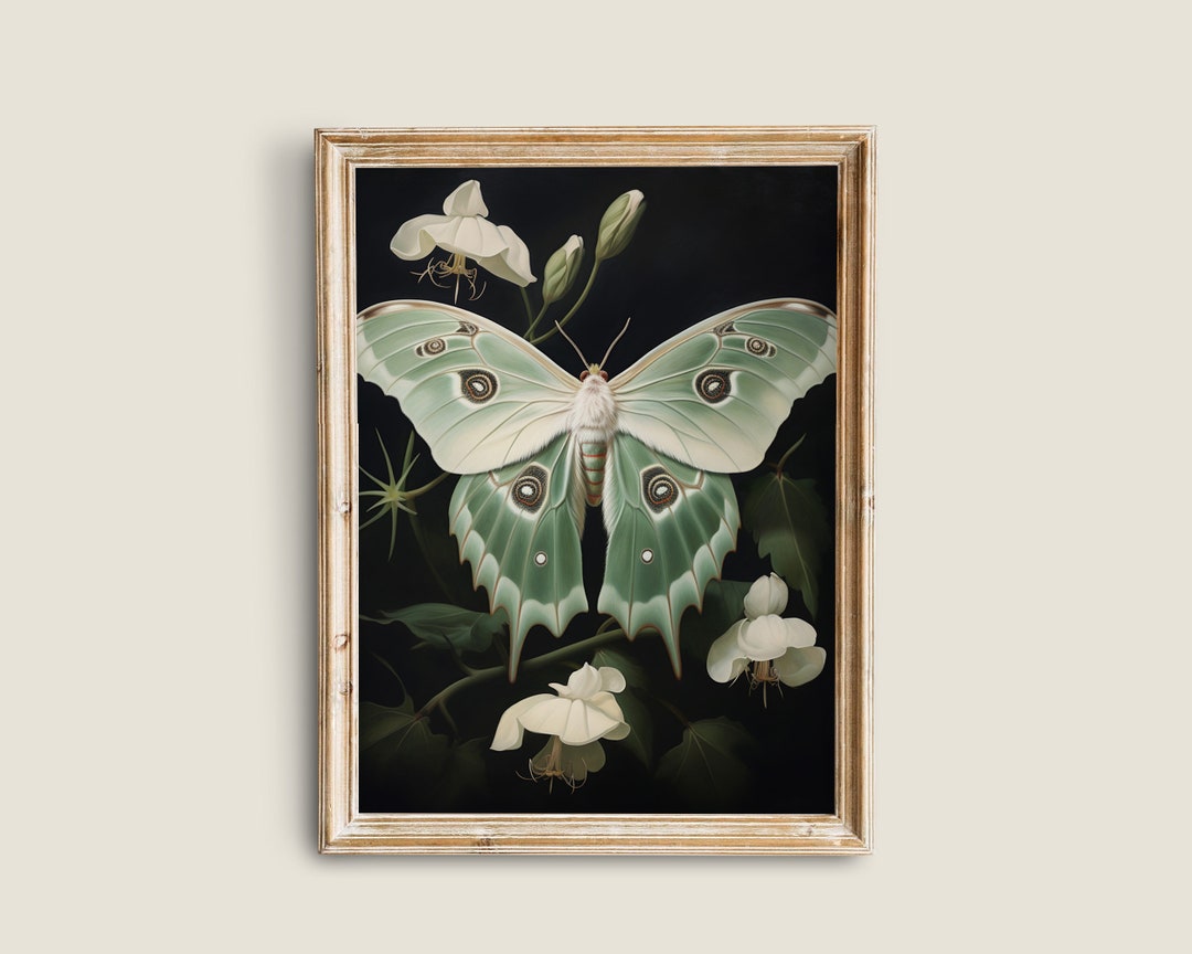 Green White Moth Victorian Art, Butterfly Art, Vintage PRINTABLE Wall ...