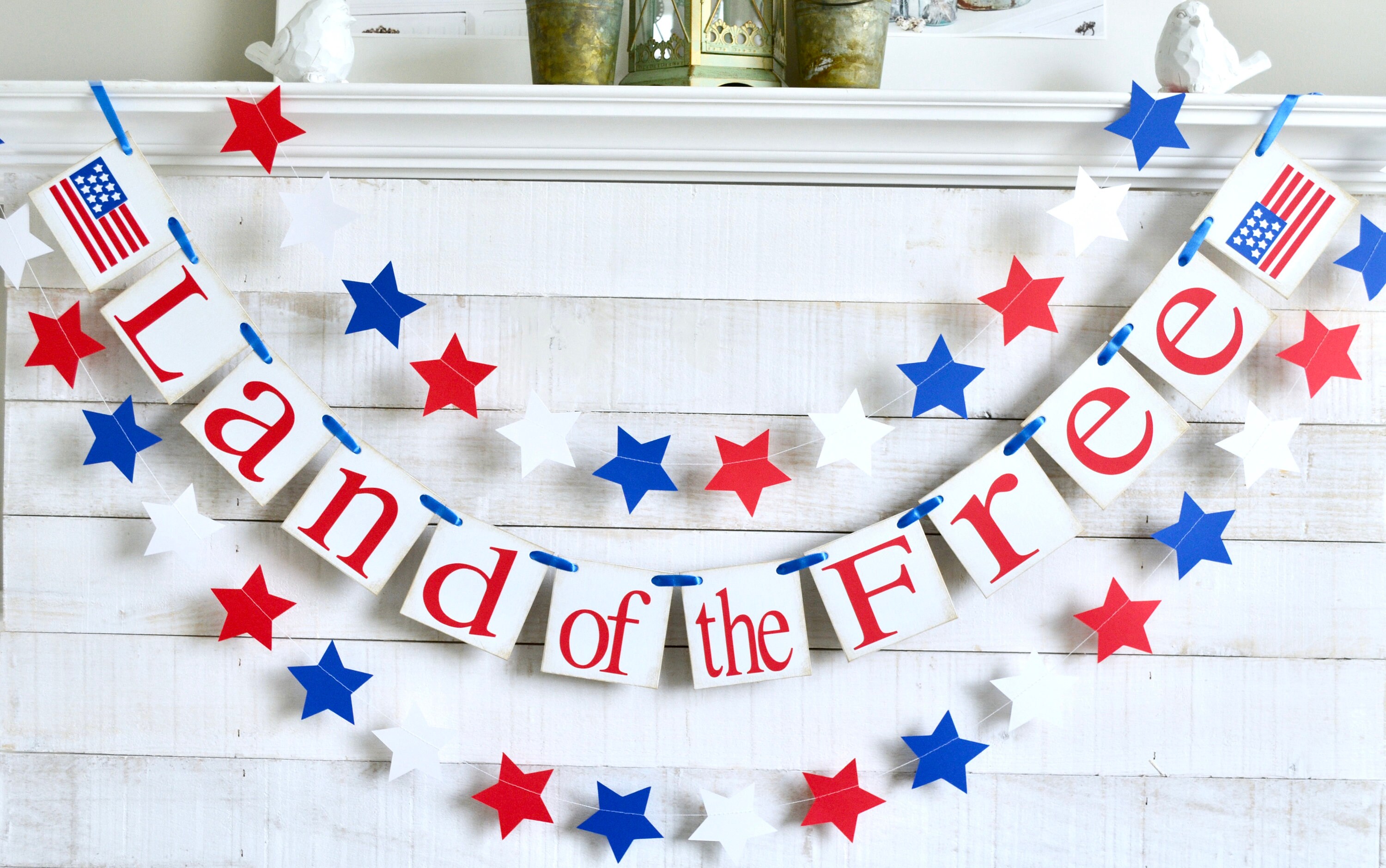 Land of the Free Fourth of July party decorations Rustic | Etsy