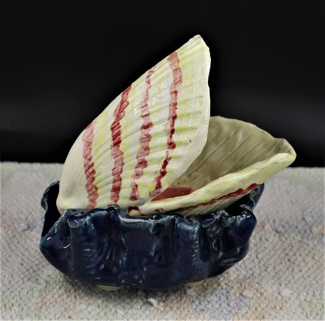 Soap Dish Clam Shell Holder - Etsy