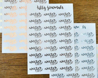 Lavender Script Font - Etsy