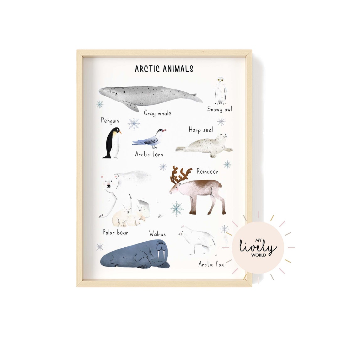 Arctic Animals Poster, Educational Nursery Wall Art, Animal Poster ...