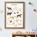 Farm Animals Poster, Educational Poster, Classroom Decor, Montessori ...
