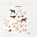 Farm Animals Poster, Educational Poster, Classroom Decor, Montessori ...