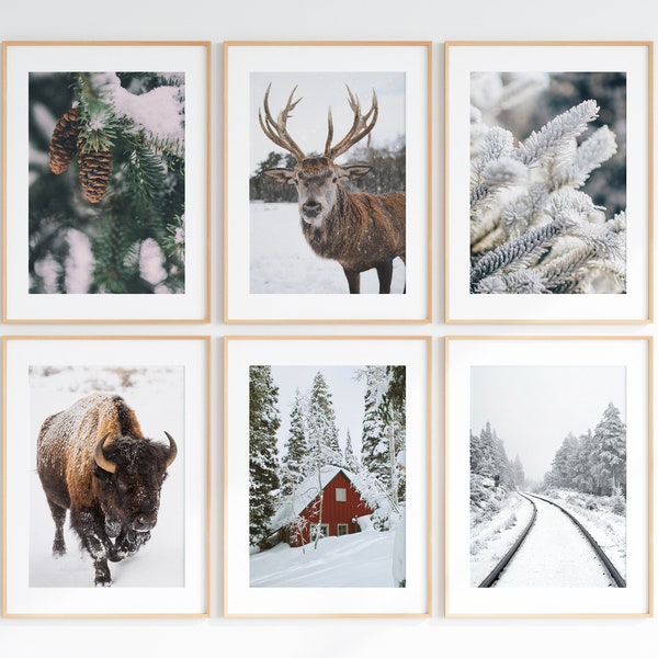 Winter Set 6 Poster - Etsy