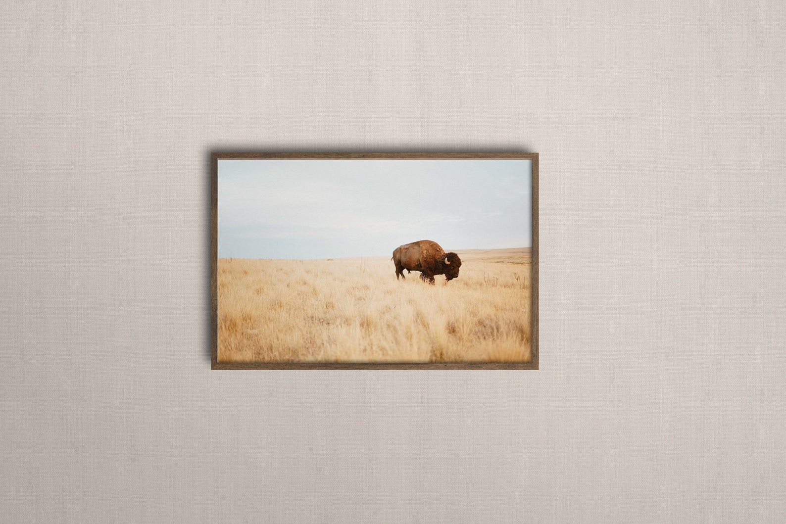 Printable Bison Photography American Buffalo Photography - Etsy