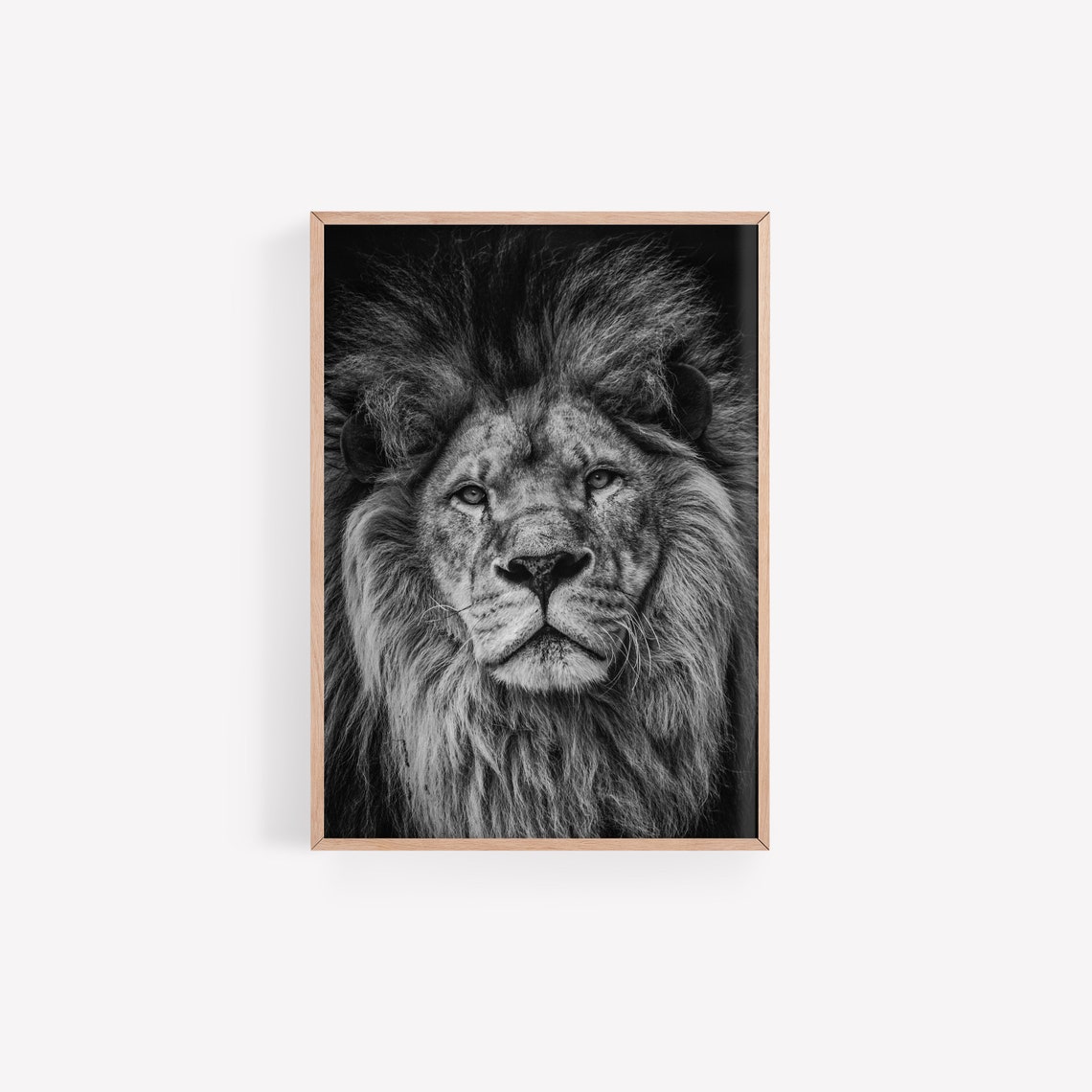 Lion Print Lion Printable Safari Print Digital Download - Etsy