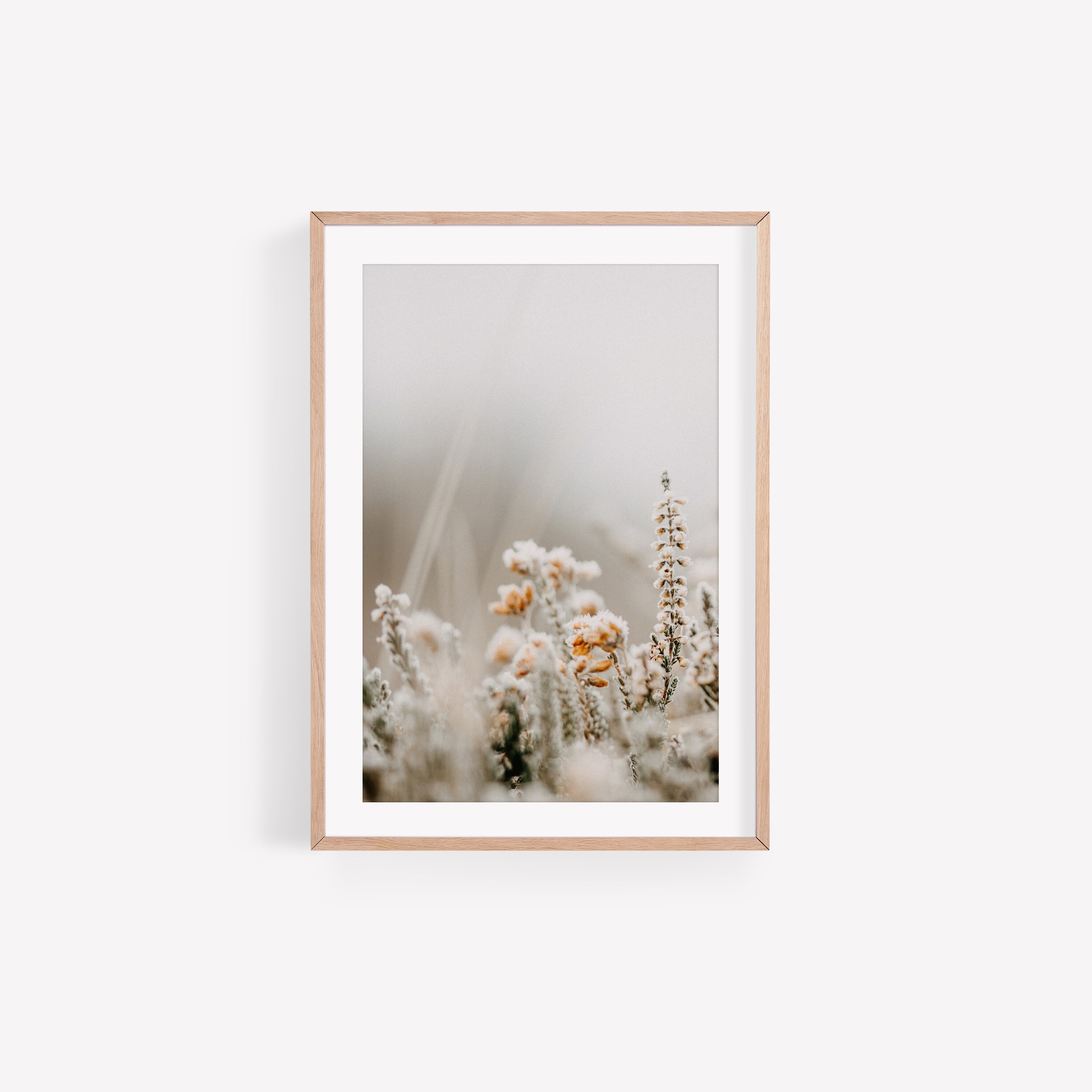 Pampas Grass Print Set of 6 Prints Botanical Posters Pampas - Etsy