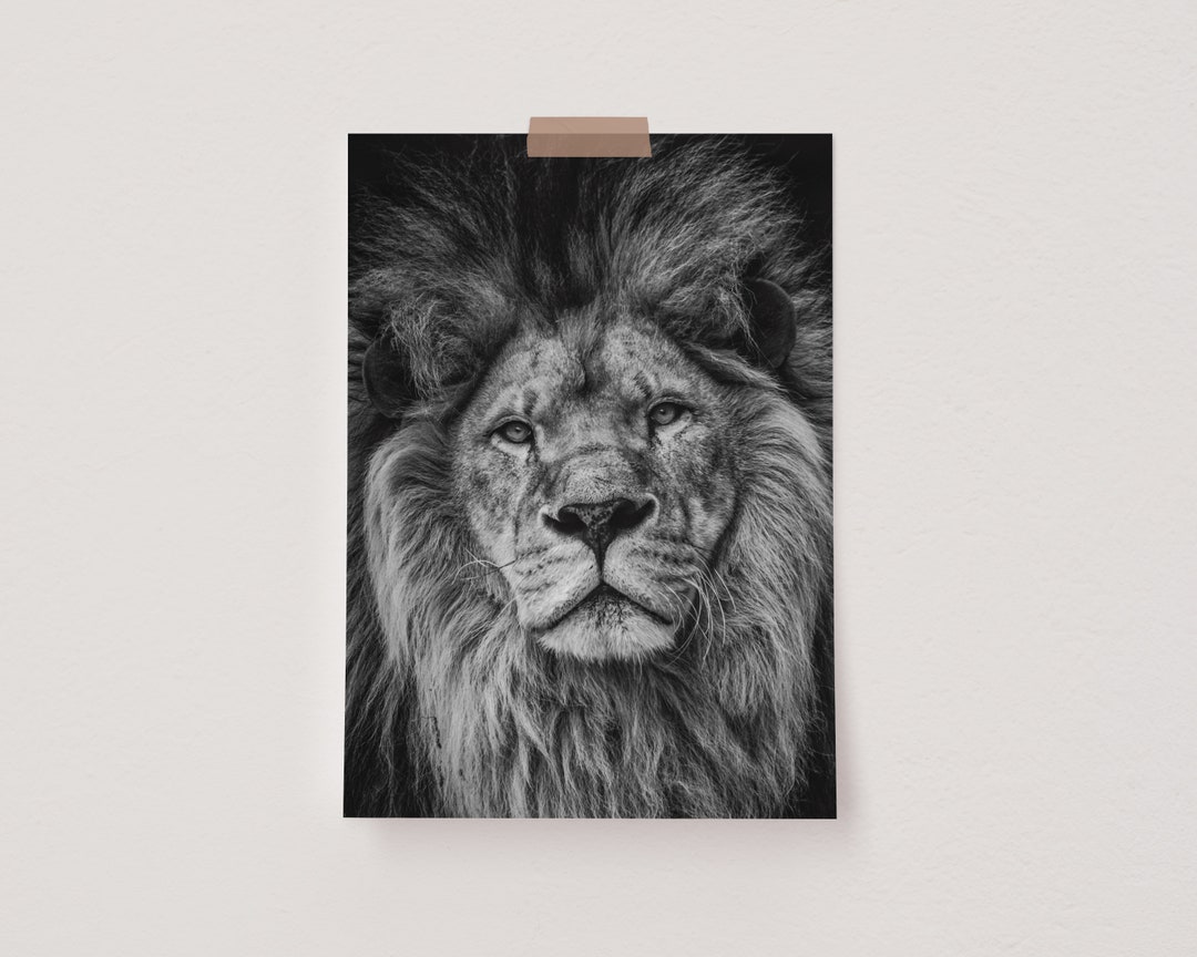 Lion Print, Lion Printable, Safari Print, Digital Download, Lion Animal ...
