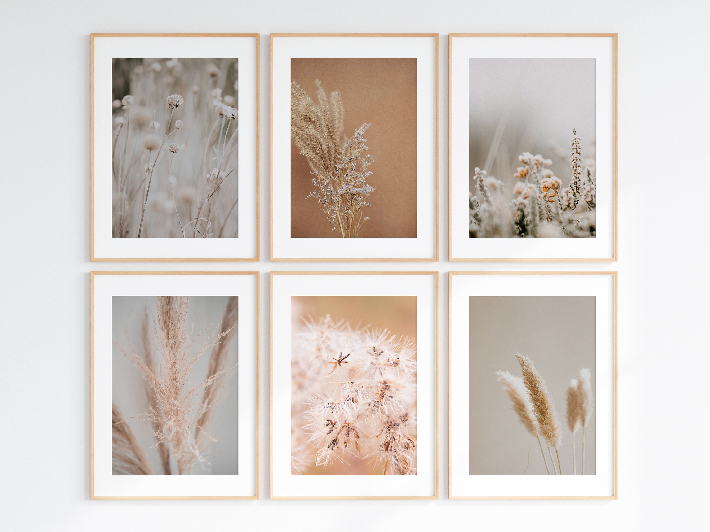 Pampas Grass Print Set of 6 Prints Botanical Posters Pampas - Etsy