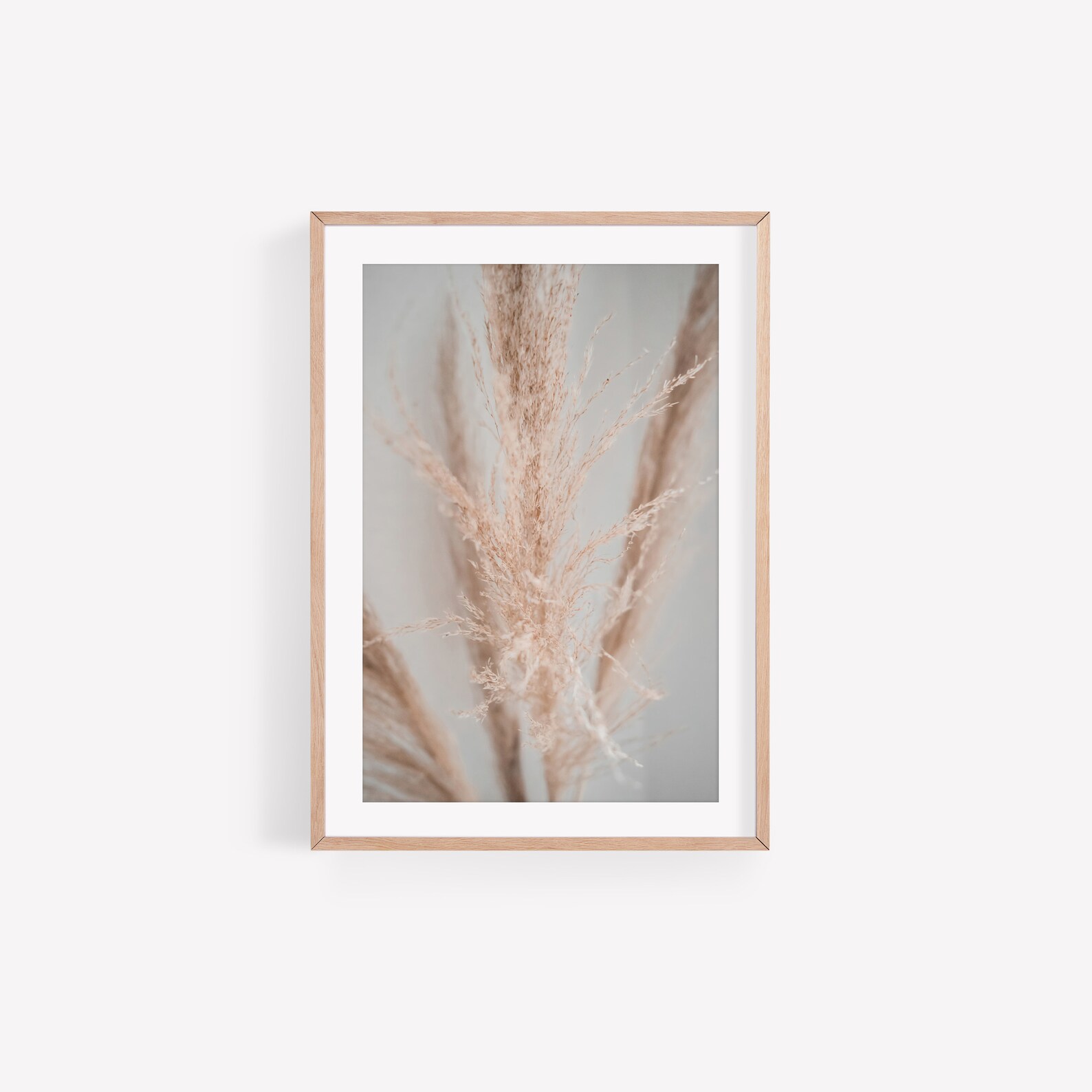 Pampas Grass Print Set of 6 Prints Botanical Posters Pampas - Etsy