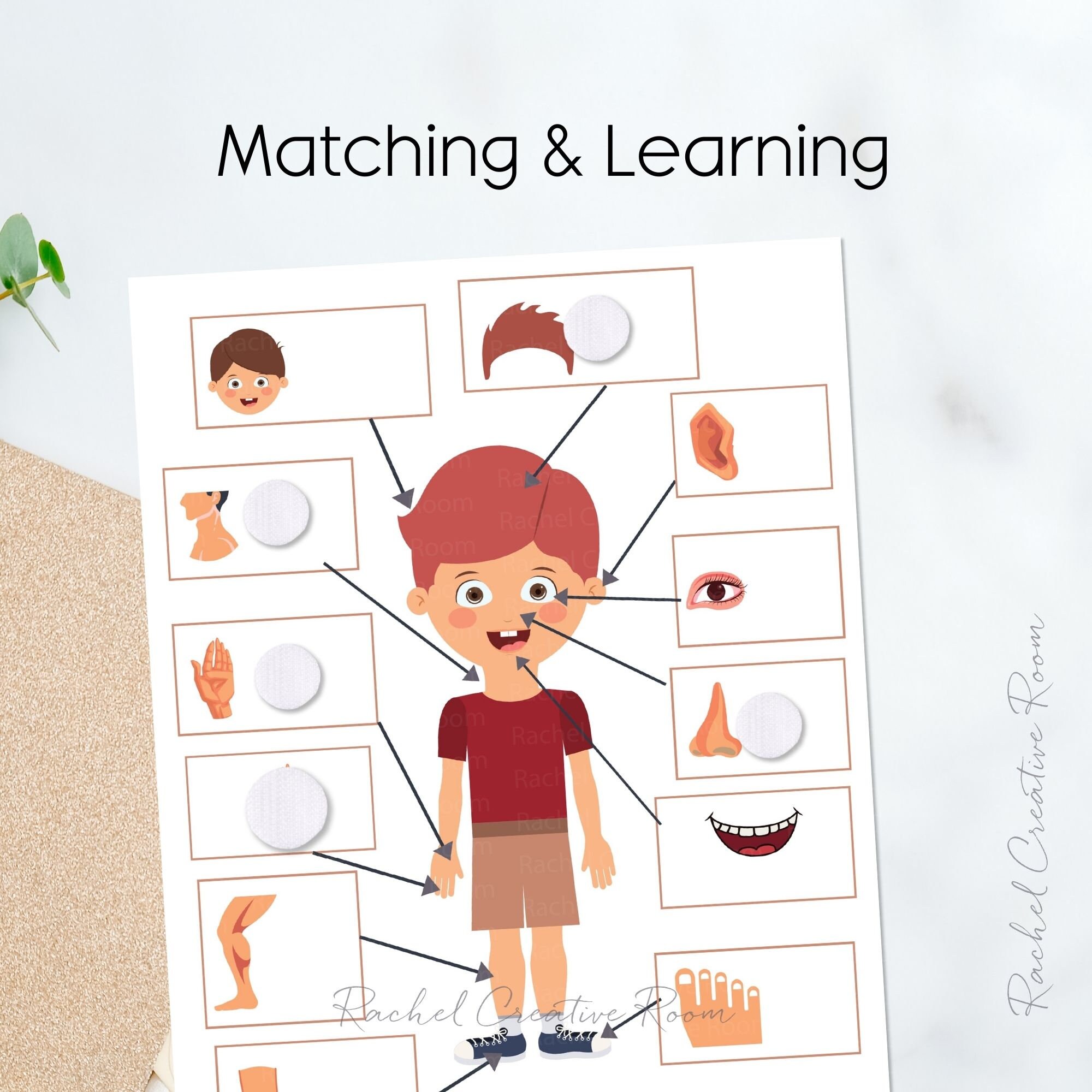 Body Matching Educational Activity Toddler Busy Printable | My Body ...