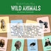 Real Wild Animals Educational Flashcards, Cute Animal, Educational ...
