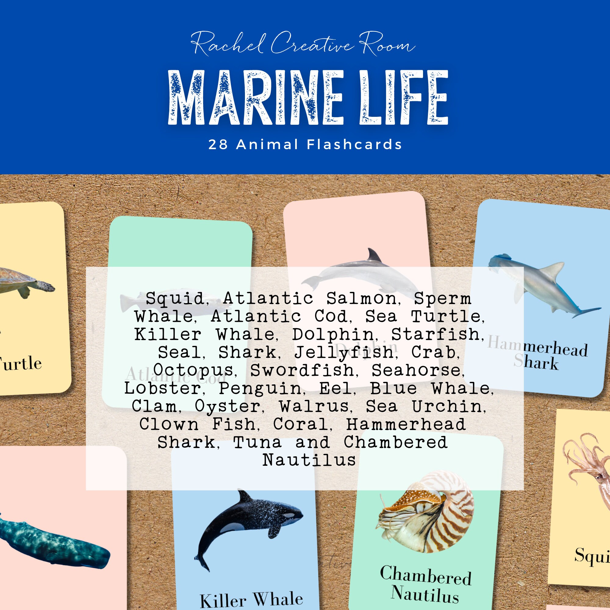 Marine Life and Sea Animals Educational Flashcards - Etsy