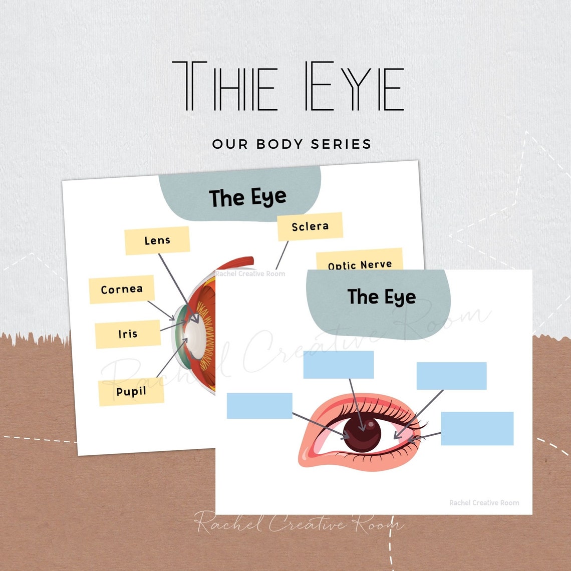 Educational Eye Anatomy Matching Activity Toddler Busy Printable | My ...
