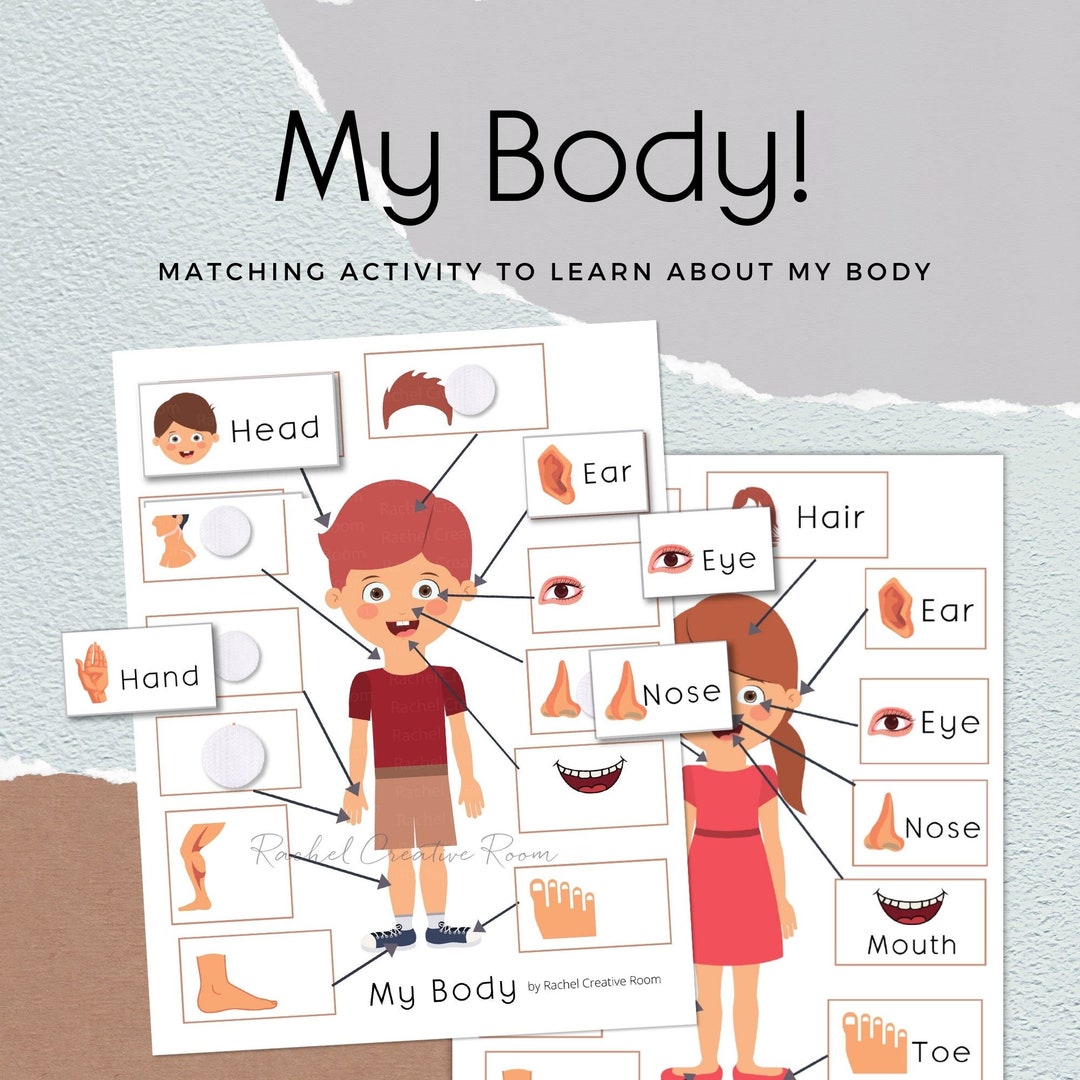 Body Matching Educational Activity Toddler Busy Printable | My Body ...