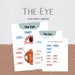 Educational Eye Anatomy Matching Activity Toddler Busy Printable | My ...